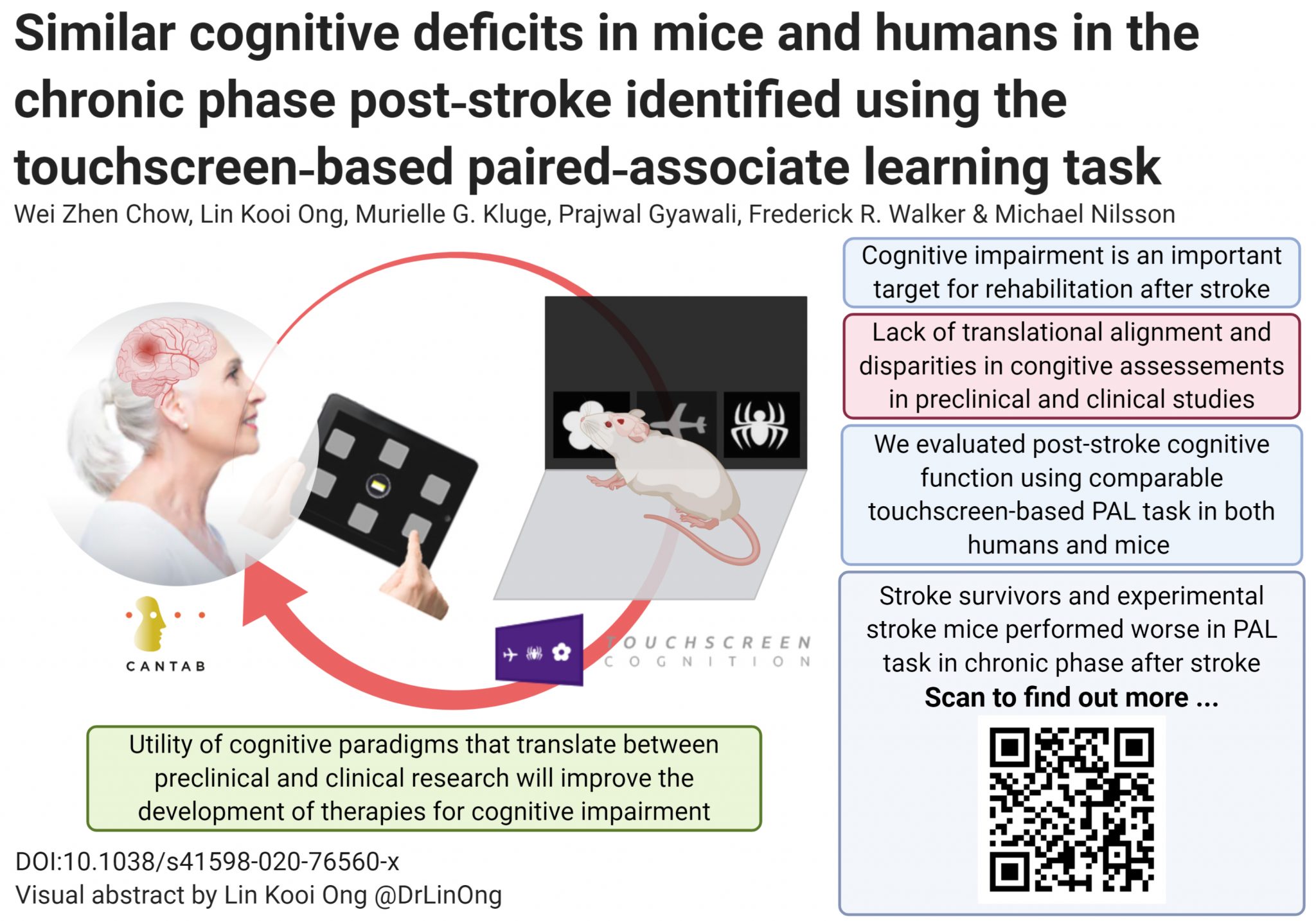 Touchscreen Cognition | Similar cognitive deficits in mice and humans ...